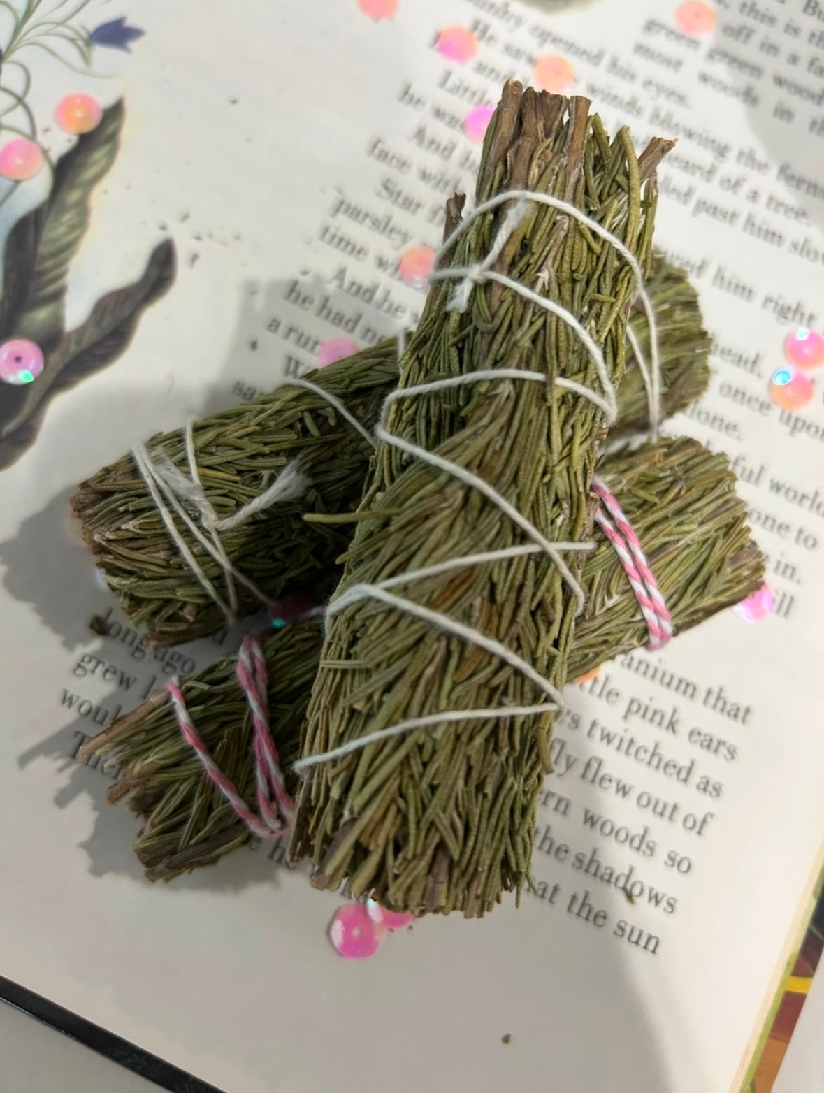 Rosemary Bundle | Strawberry Moon